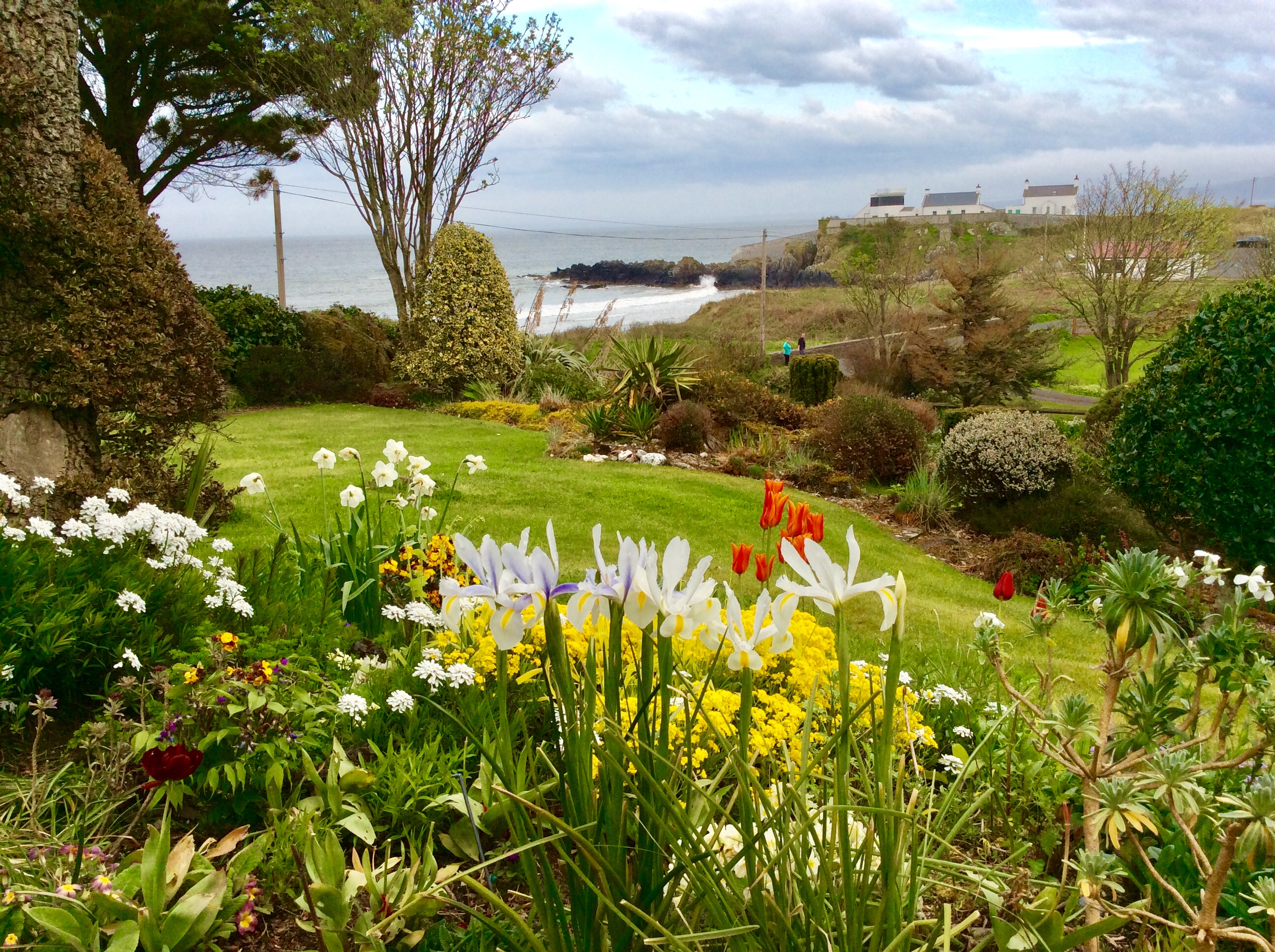 Donegal Garden Trail: Foxrock | Activities in Donegal | Go Visit Donegal