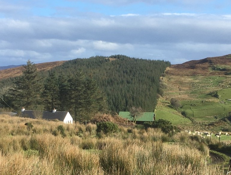 The Hidden Cottage Donegal | Accommodation | Go Visit Donegal