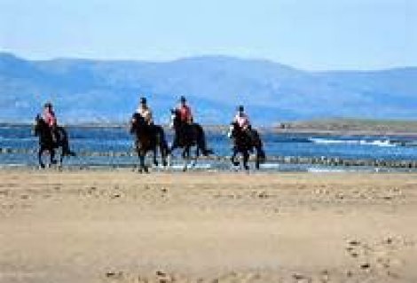 Carrigart Horse Riding Centre | Activities in Donegal | Go Visit Donegal