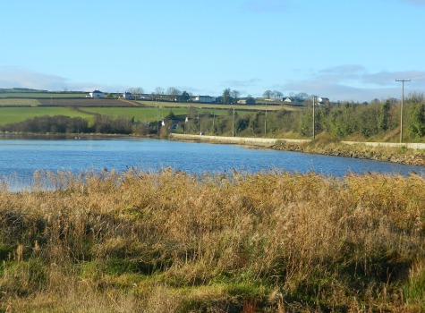 Inch Wildfowl Reserve | Activities in Donegal | Go Visit Donegal
