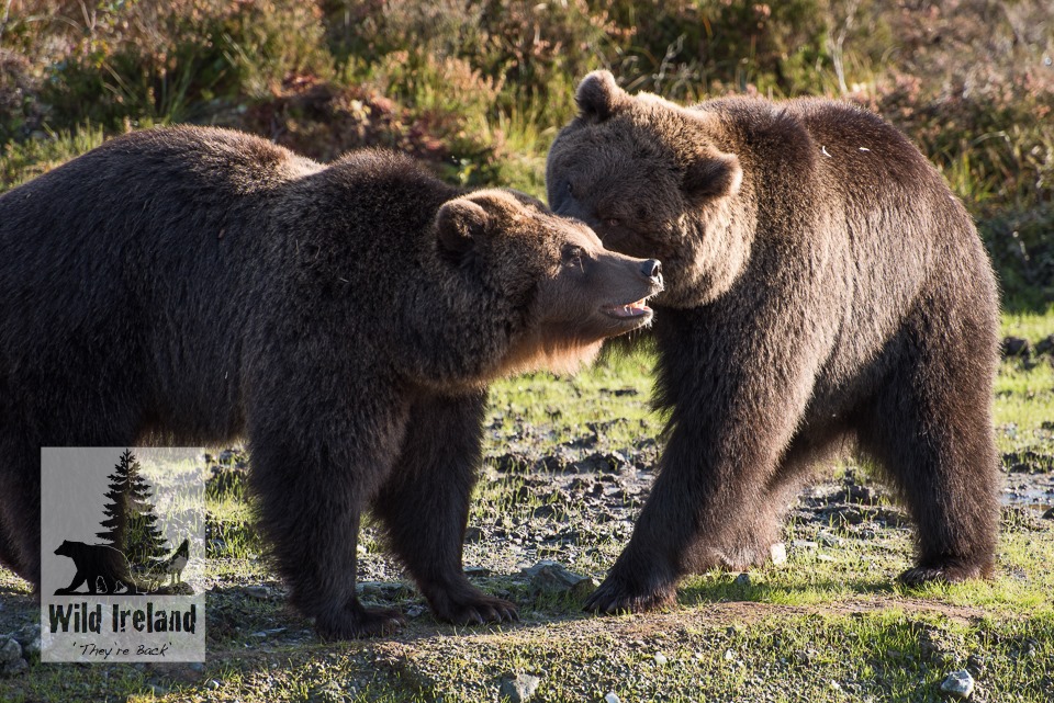 Wild Ireland | Activities in Donegal | Go Visit Donegal